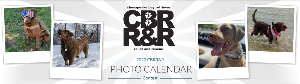 2023 CBRR&R Calendar Voting is Now Open