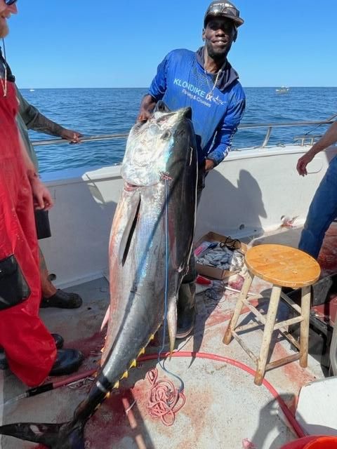 NEW EXTENDED DAY COXES LEDGE JUMBO FLUKE, COD, LING TRIP ADDED THIS FRIDAY!