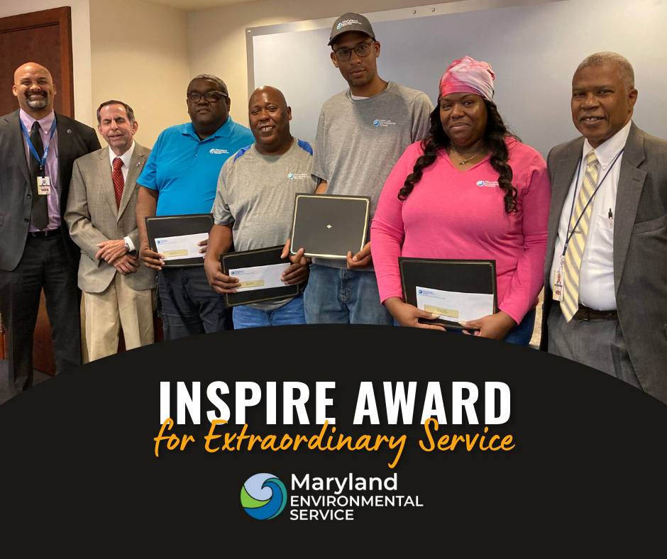 Catching the Wave, July 2022