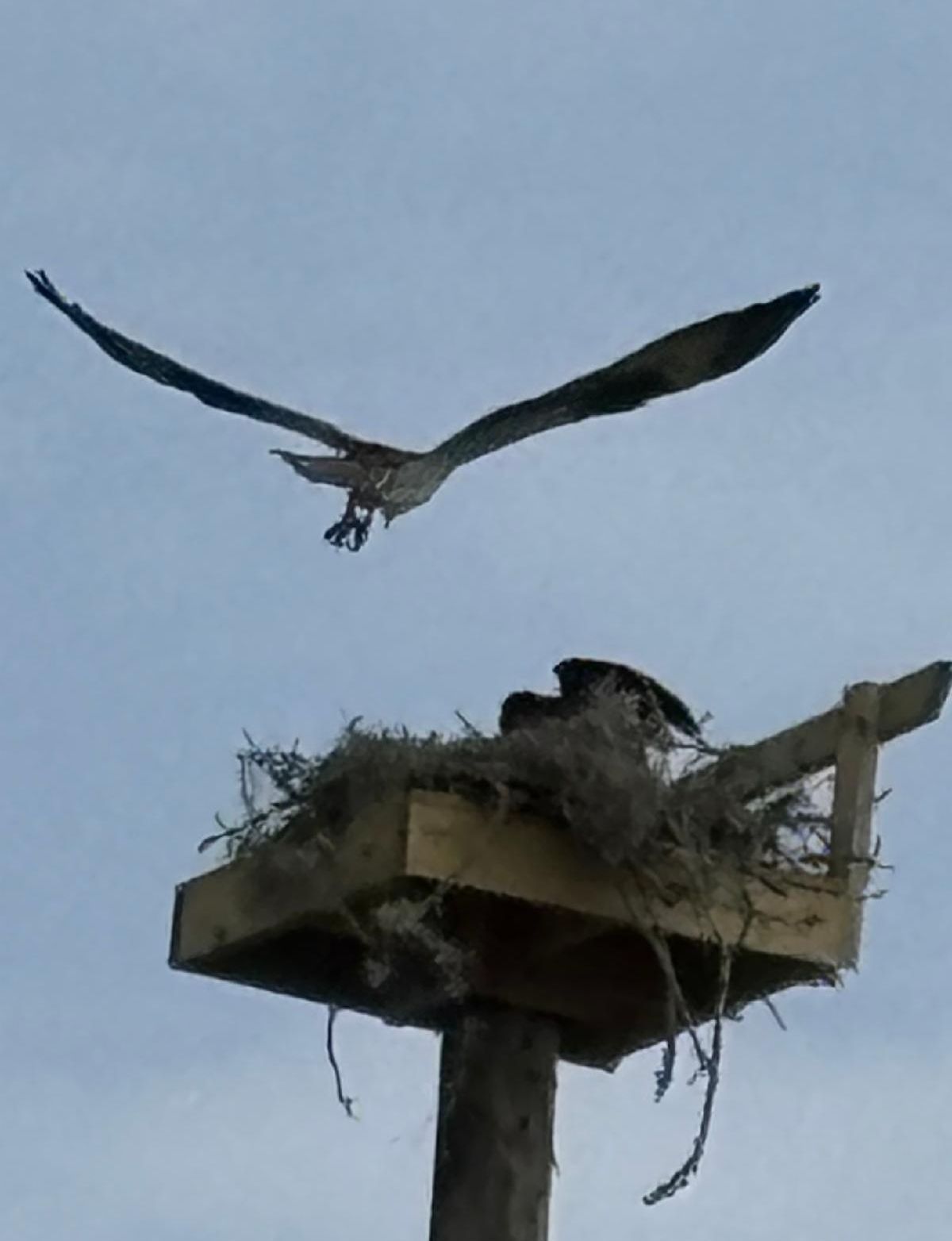 The latest news from Gunter Library