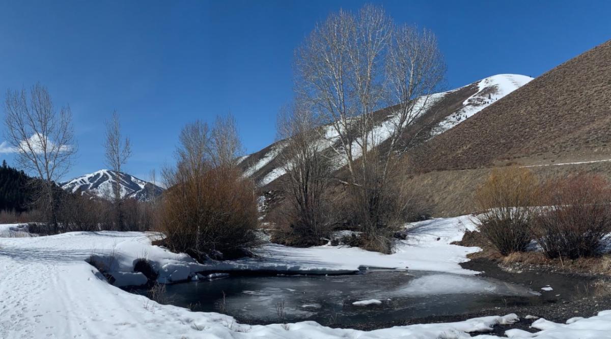 WRJC newsletter March 24 , 2020