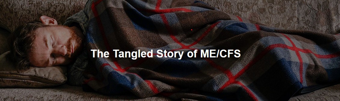 ME International February 2022 Newsletter