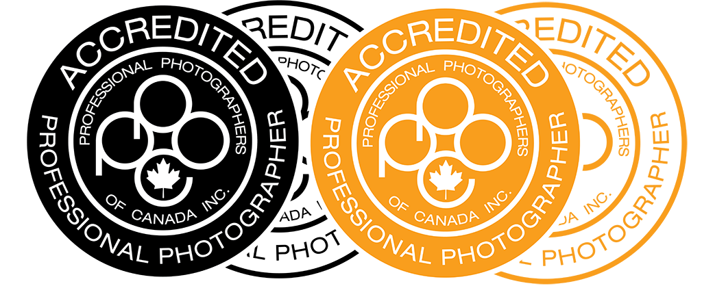 PPOC eContact - December 2022