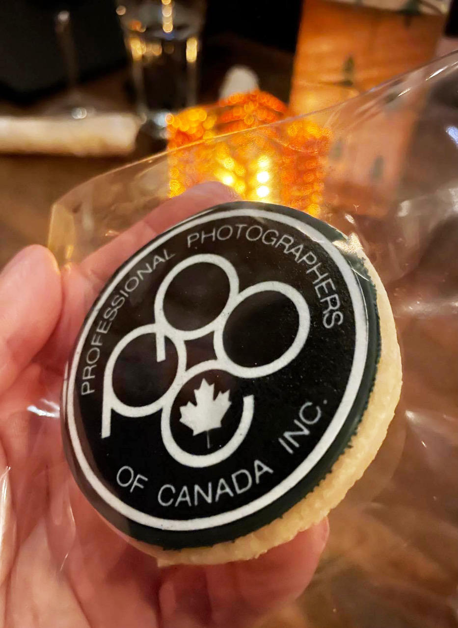 PPOC eContact - December 2022