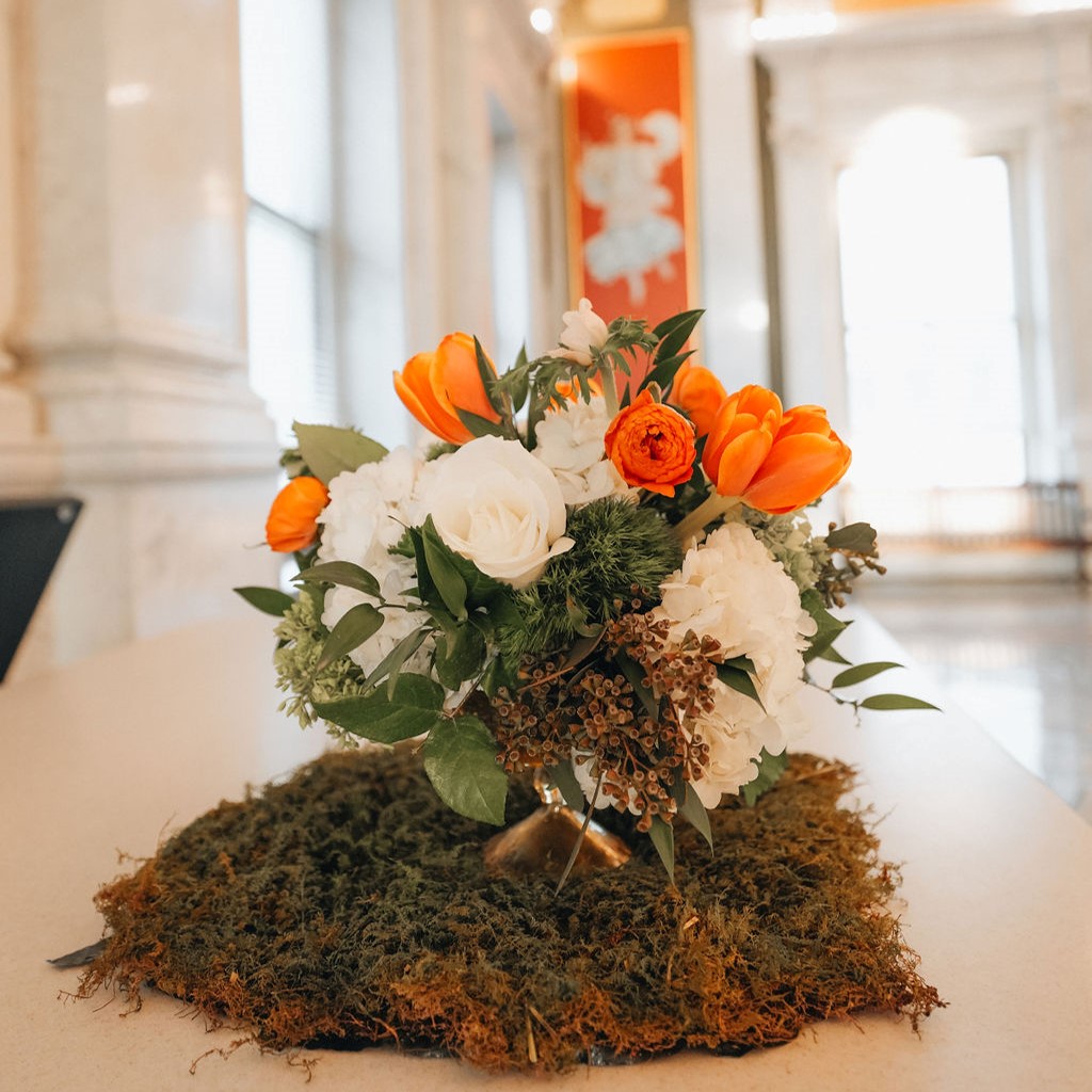 In Case You Missed It: A Night at the Library