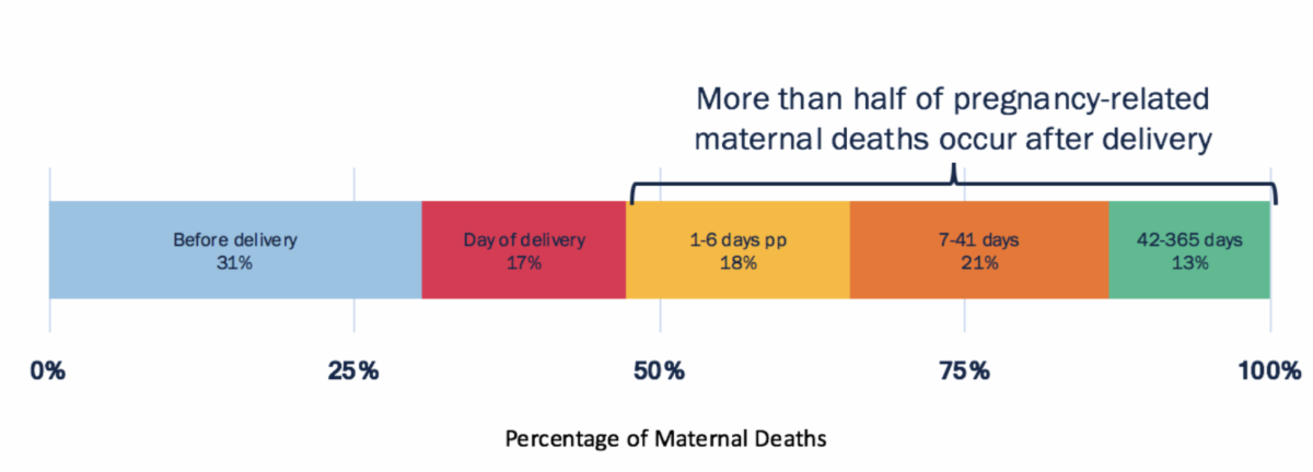 Maternal Mortality and Maternal Mental Health