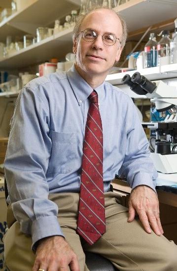 Michigan Medicine Rheumatology Newsletter, Summer 2018