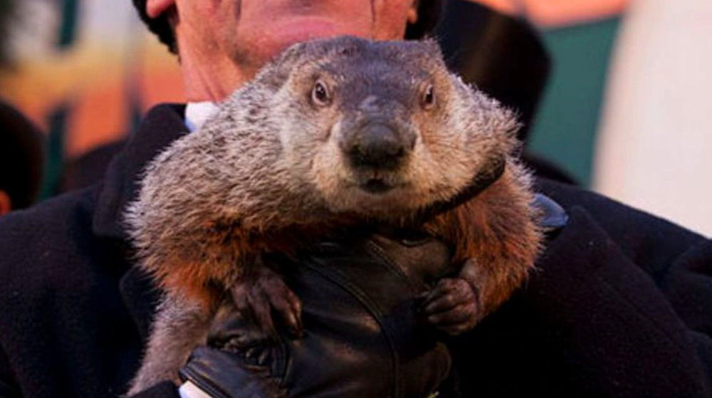 Dan Maltby February 2, 2026