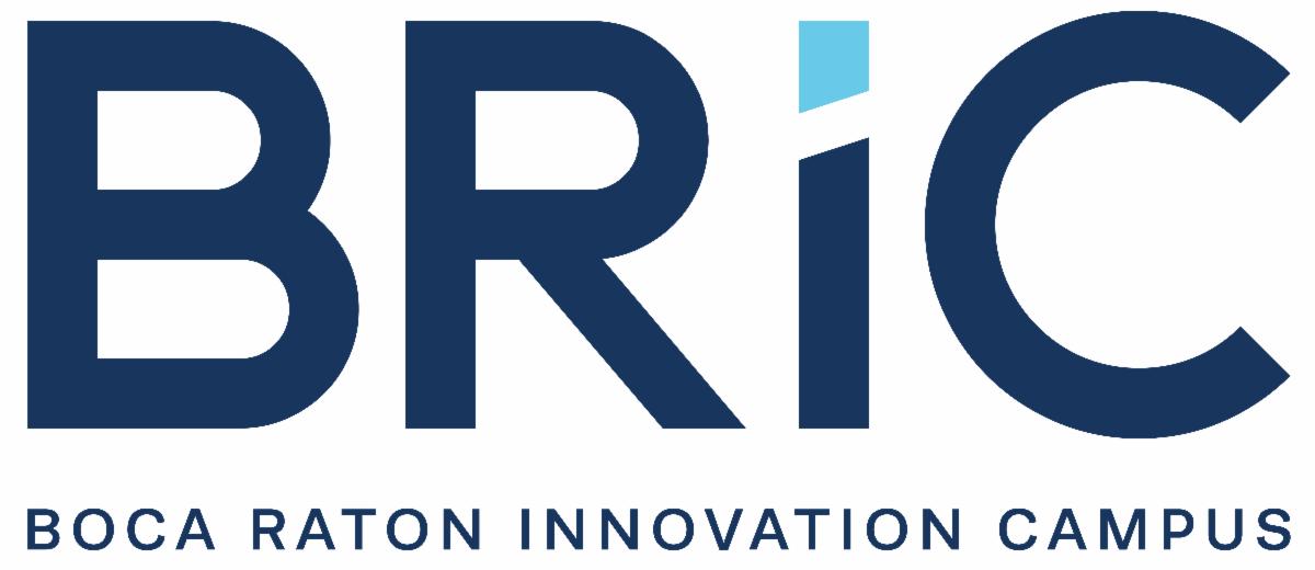 Call For Entries - Art on BRiC Walls: A Boca Raton Museum of Art Juried ...