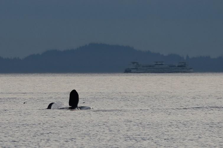 January 18, 2023 WS Report: J, K, & L Pod make a surprising visit to ...