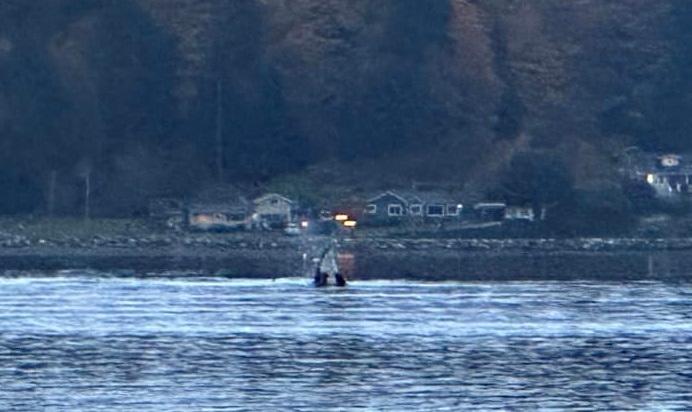 November 15, 2023 WS Report: J Pod spent the night in Quartermaster ...