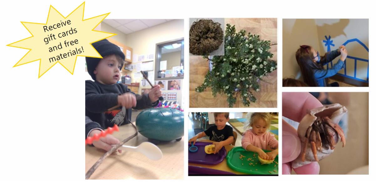 Science Alliance: Everglades