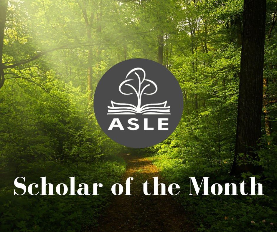 Asle News And Updates