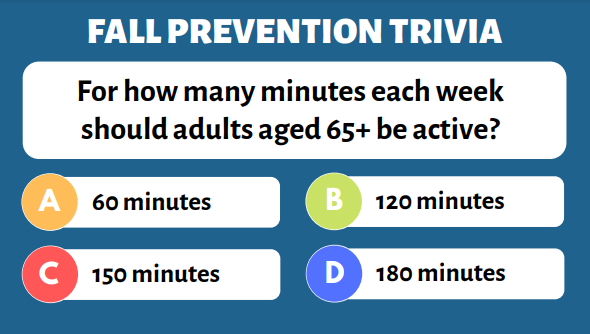Senior Friendly Care Newsletter - Nov 2022