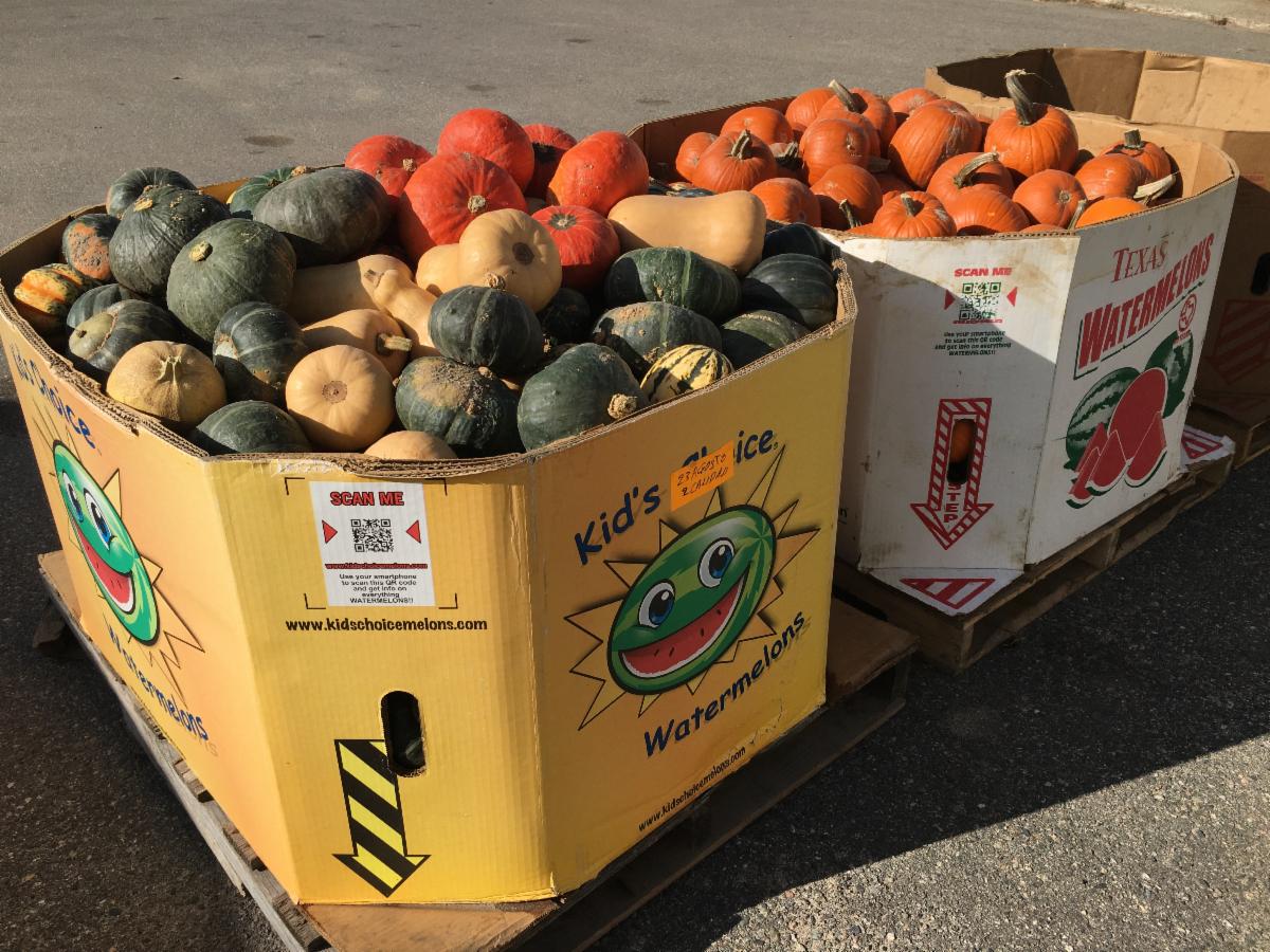 Feeding our neighbors through the pandemic