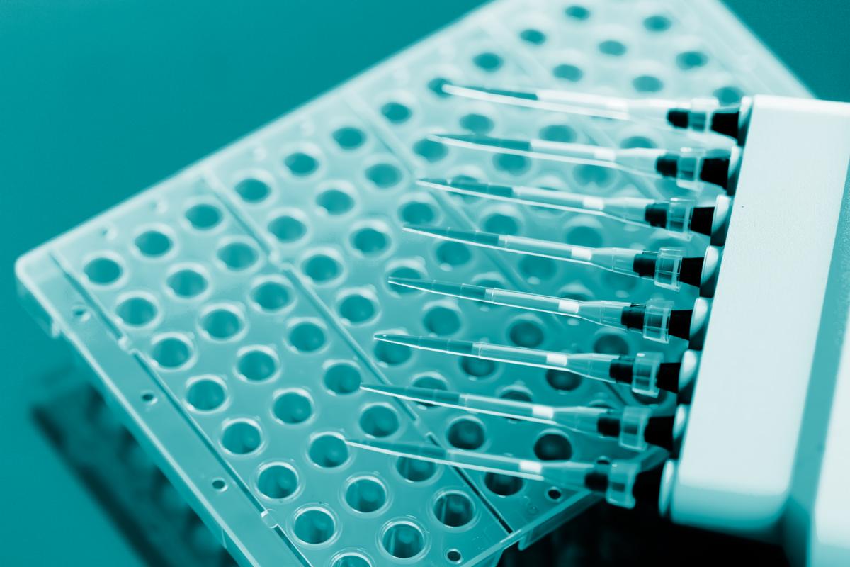 Understanding Immune Cells