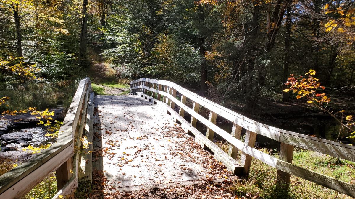 Make a Splash This Summer