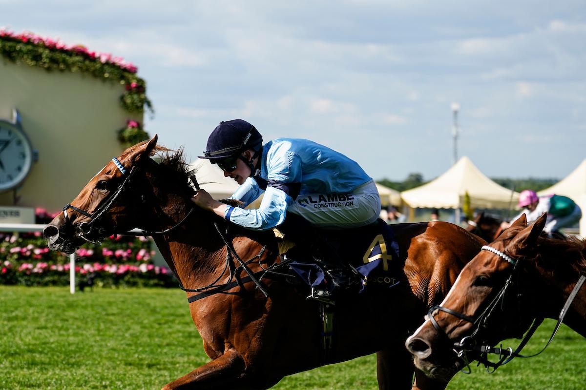 Soprano sings virtues of Boughey and Loughnane with Sandringham ...