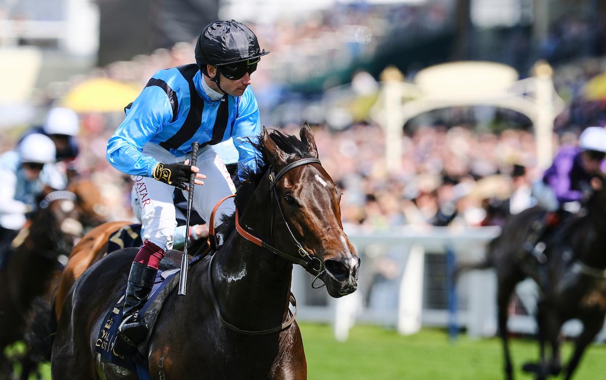 Asfoora gives Australia another win in G1 King Charles III Stakes - Peter Ellis Racing