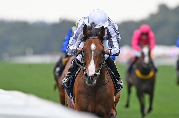 Hardwicke Stakes (Group 2) - all the news & quotes