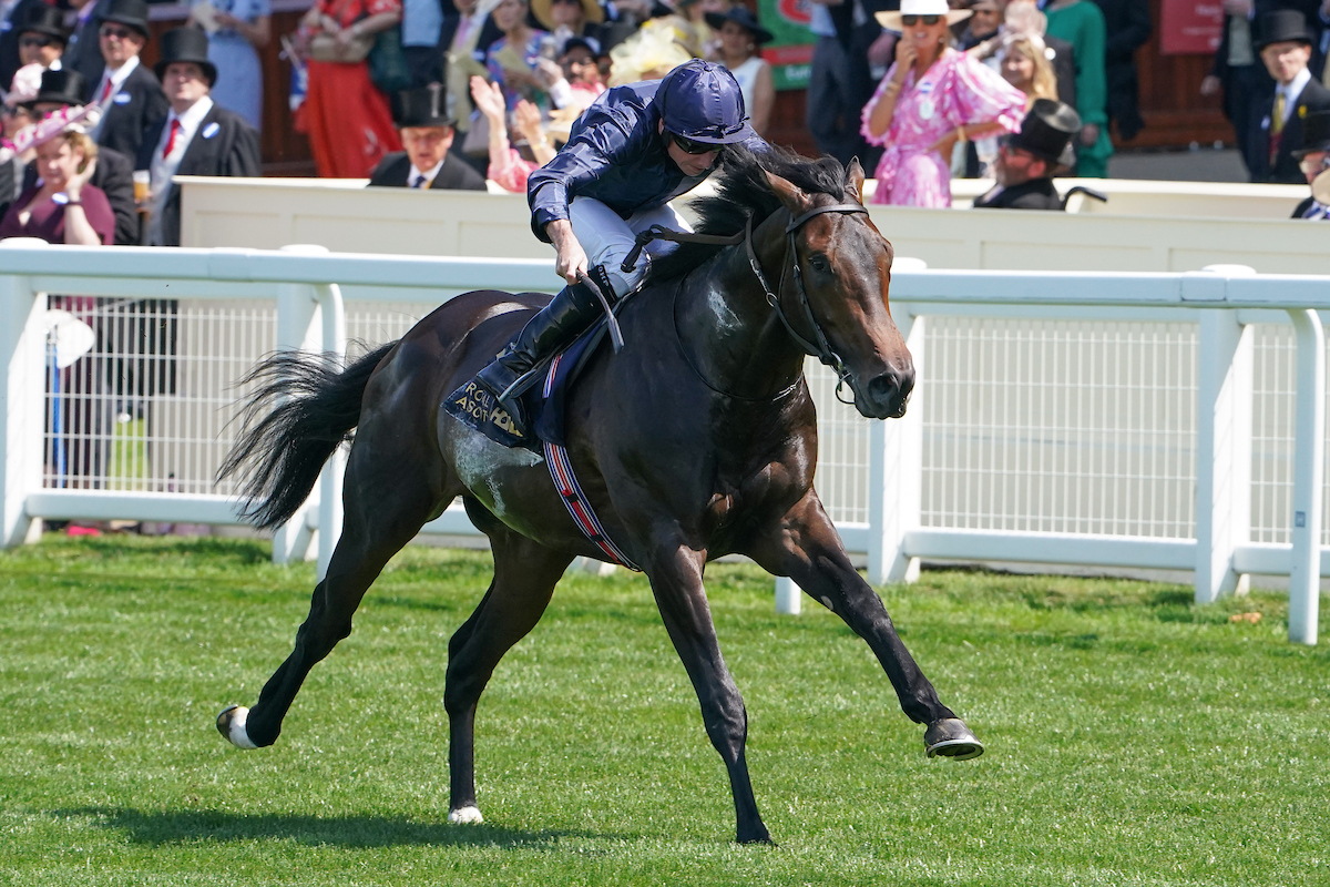 Charles Darwin proves a class apart in Norfolk Stakes by Racenews ...