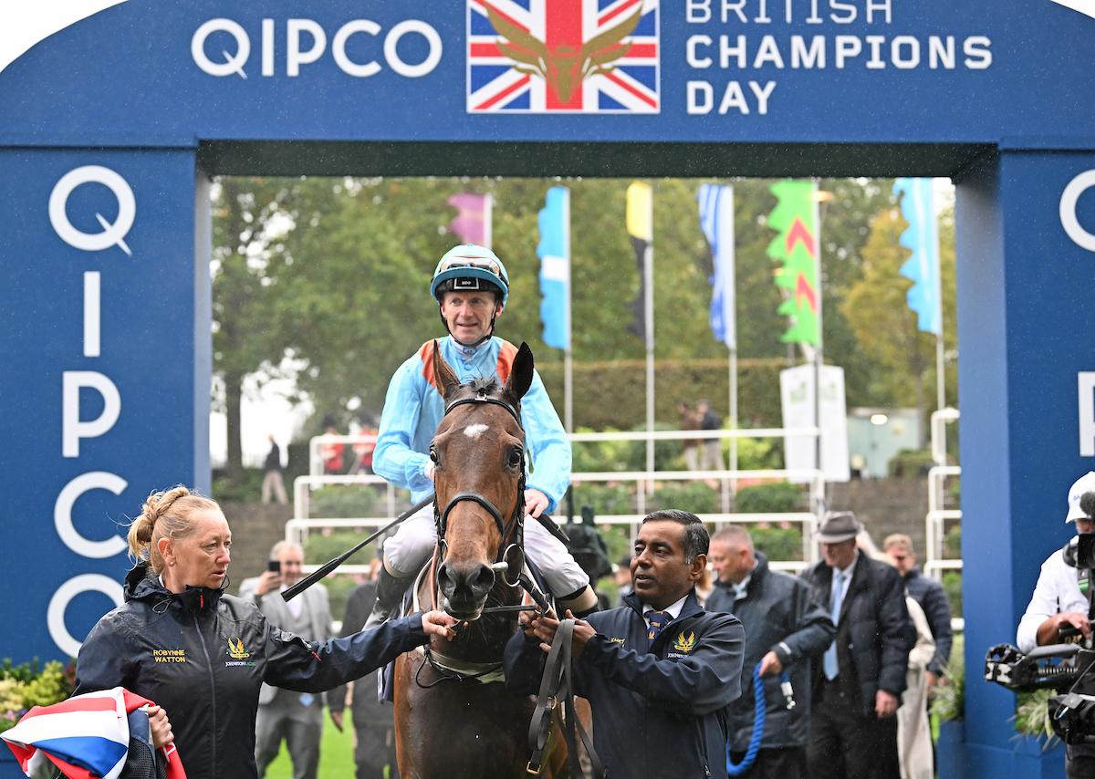 The Gatekeeper Not For Catching In Balmoral Handicap - Peter Ellis Racing