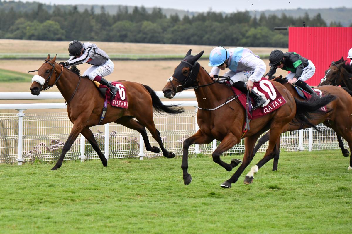 Endearing result for De Bromhead and Lee in Qatar Lillie Langtry Stakes ...
