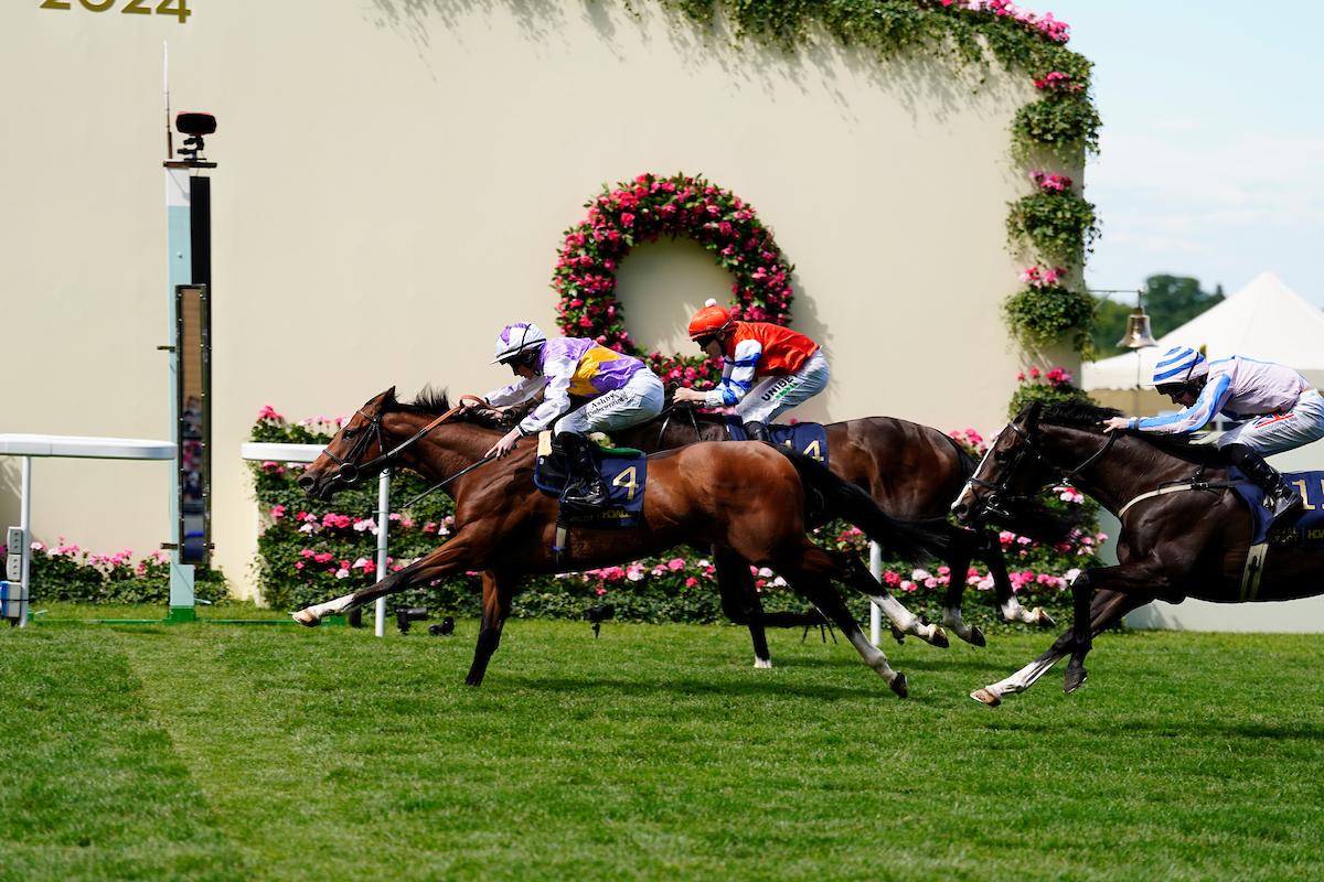 Beckett plot goes the distance in King George V Stakes - Peter Ellis Racing