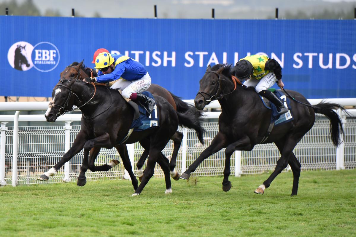 Hott Shott and Spell Master share spoils in British Stallion Studs EBF ...