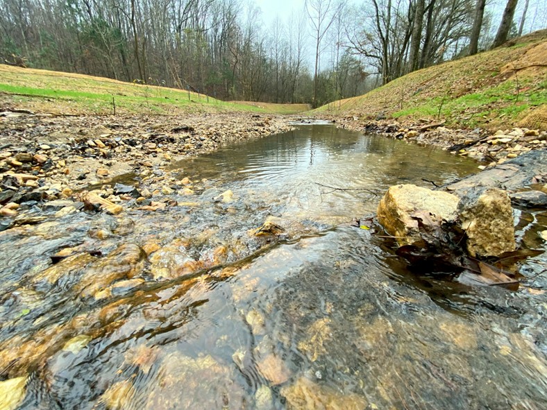 SESWA Stormwater Photo Contest