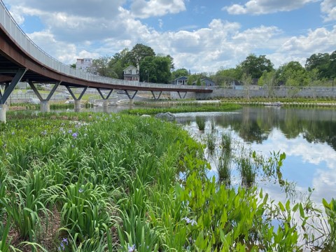 SESWA Stormwater Photo Contest