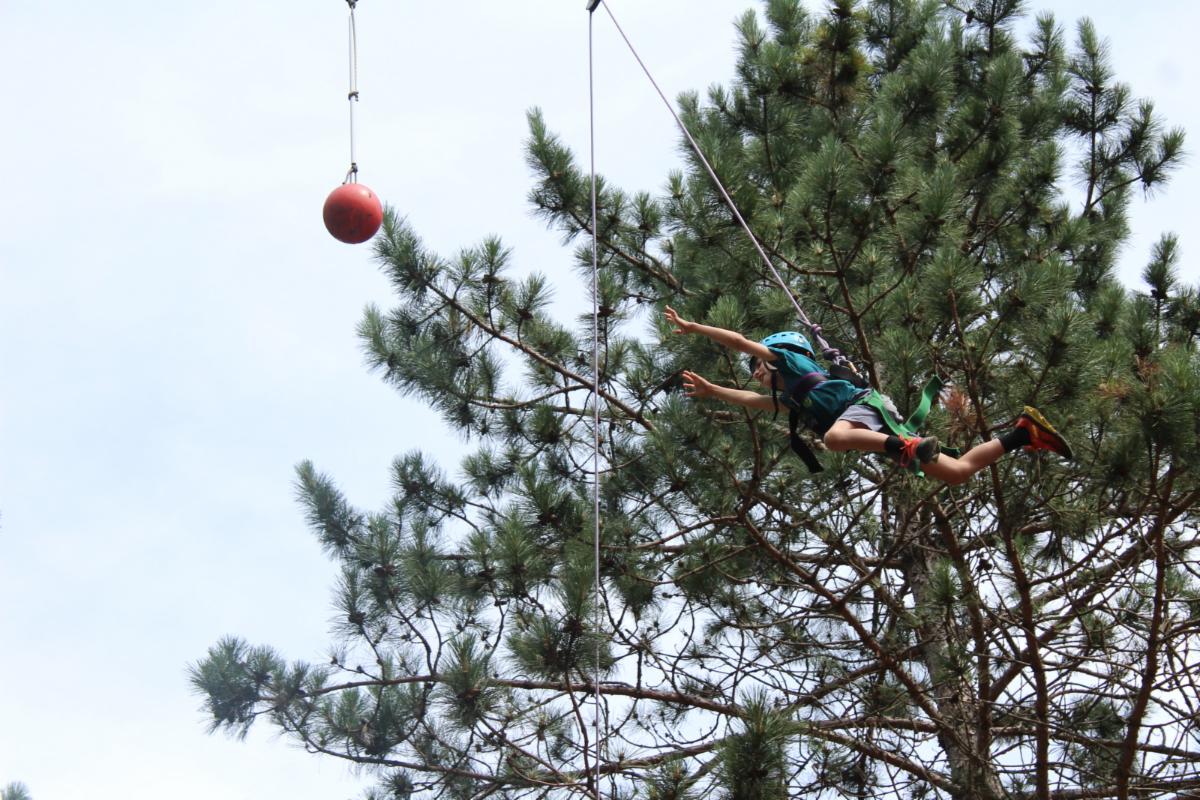 The Medeba Summer 2025 Need to Know!