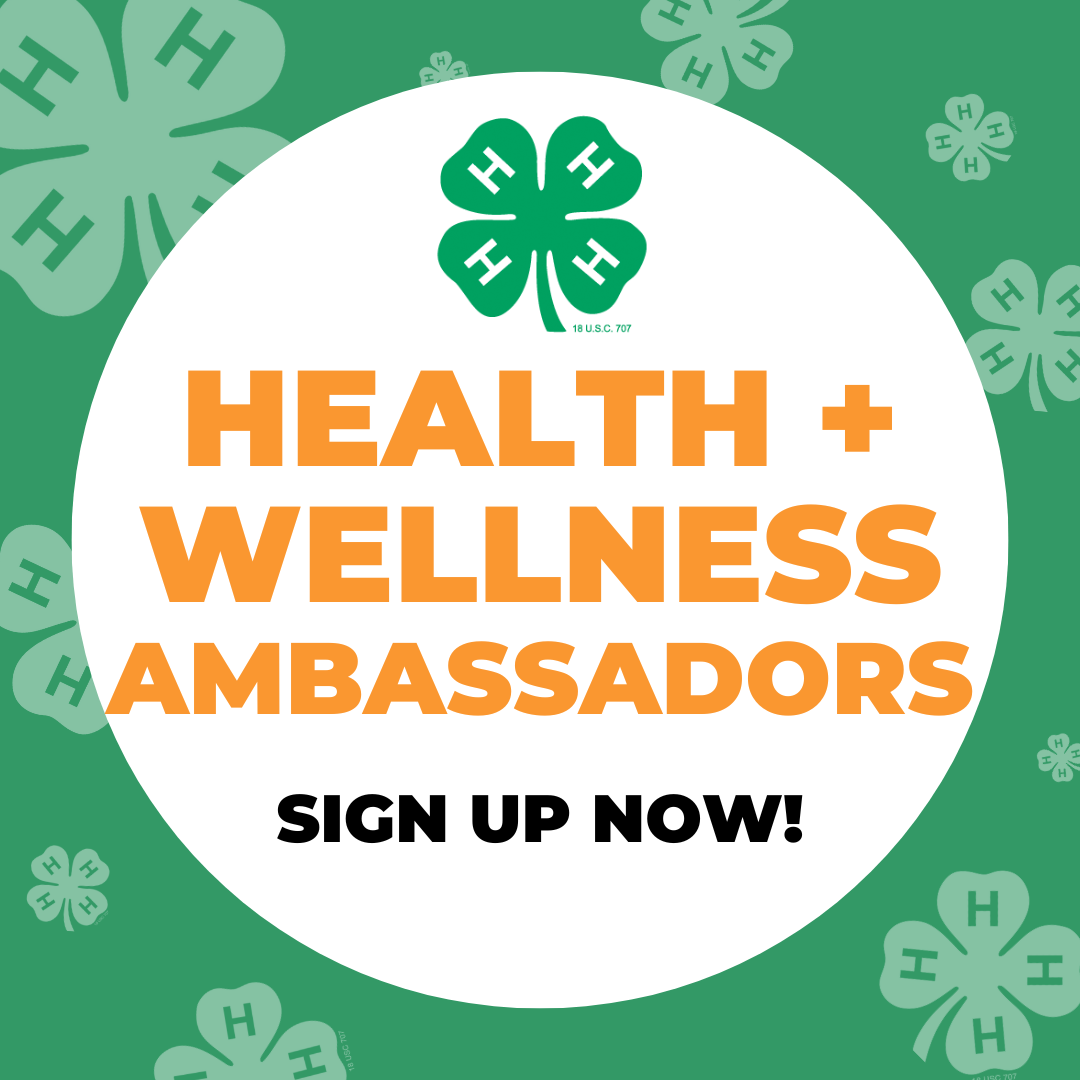 Upcoming workshops and webinars