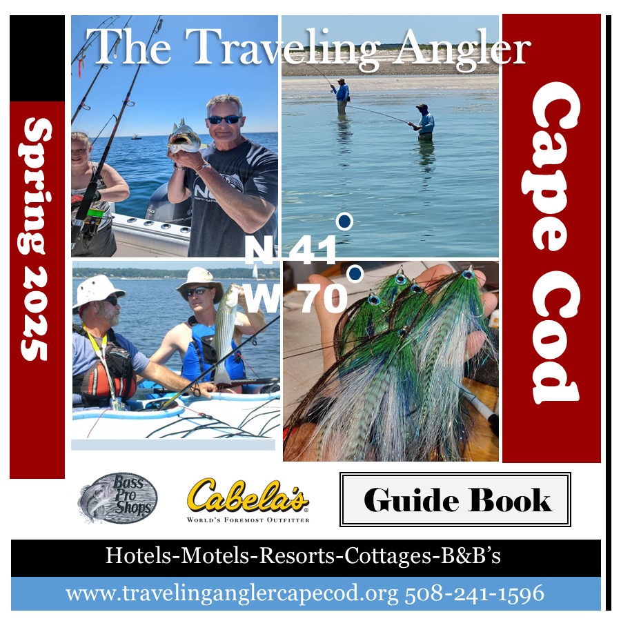 Short Film/ Place your business in it/ Travel