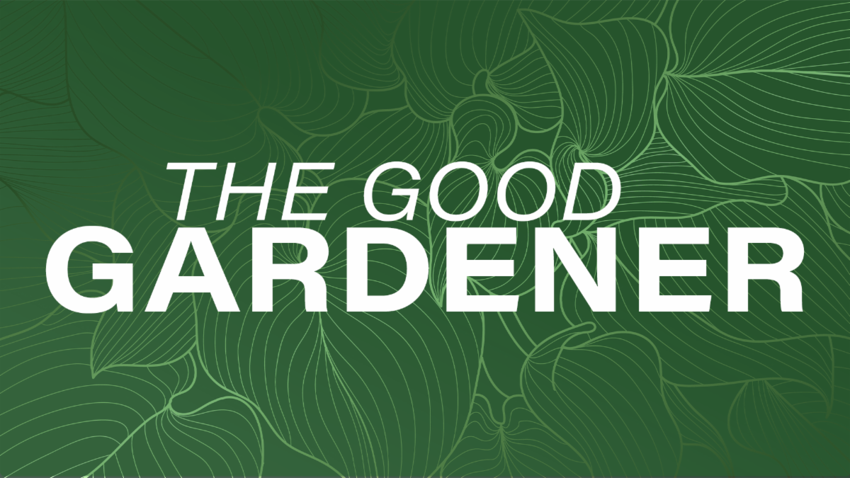 Farewell Reception for Jesse Fleck, Bible Sunday for our Kids, and More