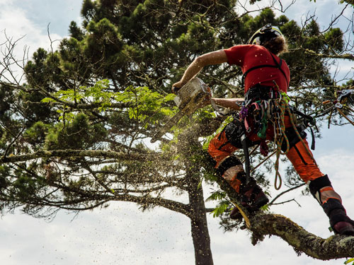 Beat the Heat with Tapco Summer Products 😎