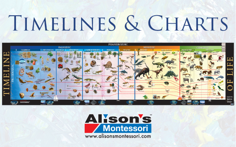 Timelines and Science Charts from Alison's Montessori