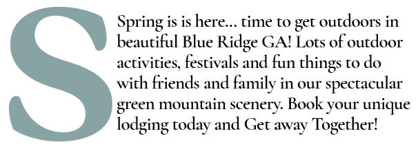 April 2024 Vacation Fun in Georgia's Blue Ridge