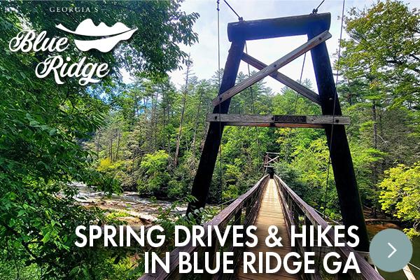 April 2024 Vacation Fun in Georgia's Blue Ridge