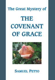 WHAT ARE MY 5 FAVORITE SOLID GROUND TITLES?