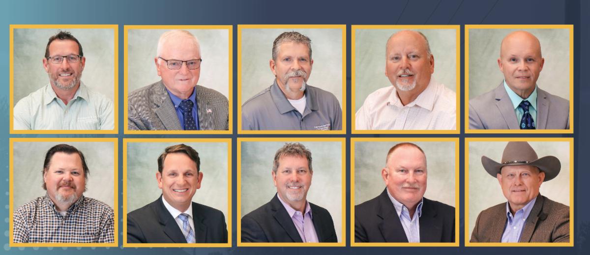 Board of directors election special edition | LightPost