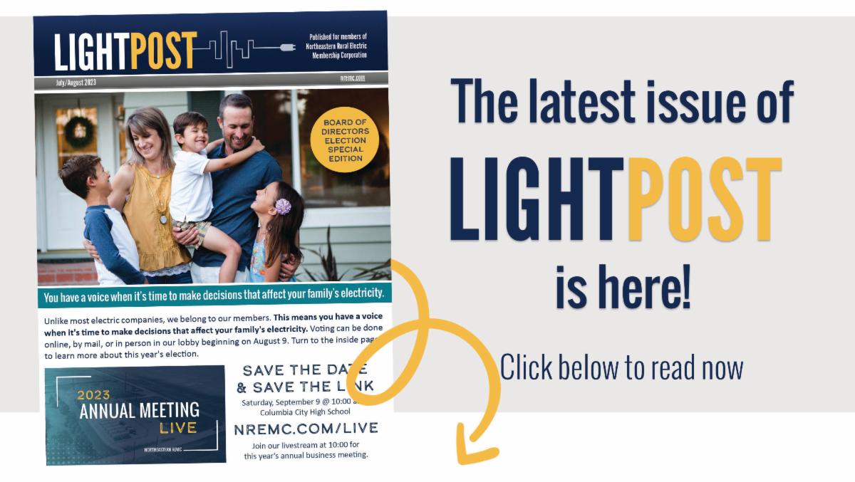 Board of directors election special edition | LightPost