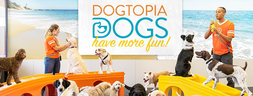 Boarding Reminders and Canine Cough at Dogtopia