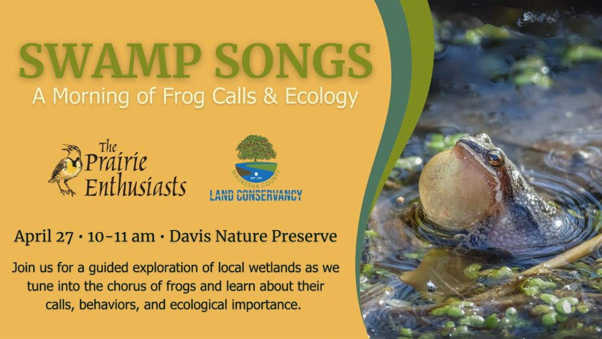 Swamp Songs: A Morning of Frog Calls & Ecology
