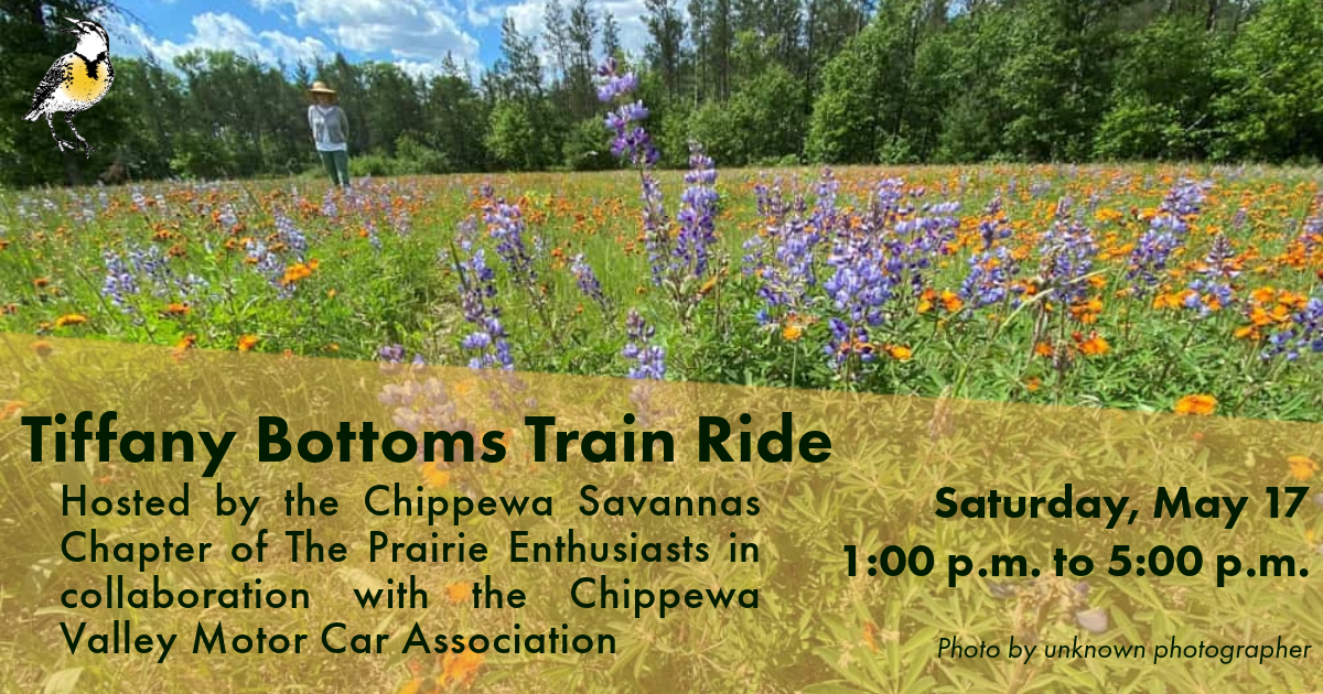 Tiffany Bottoms Train Ride