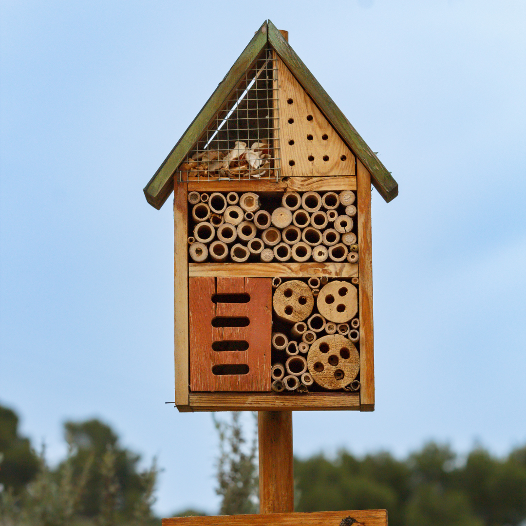 Creating a Bee Nesting Box: A Step-by-Step Guide