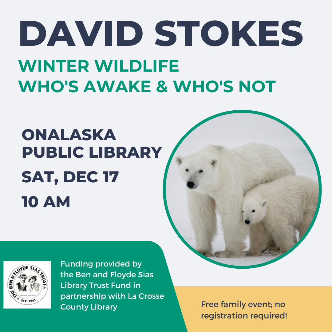 Santa visit, Winter Wildlife with David Stokes, and more