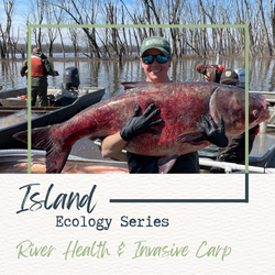 Hot Reads + Hy-Vee = Inflation-Busting Prizes