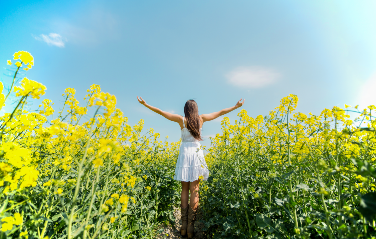 Your newsletter is ready. Emotions, Essence and Vital Energy