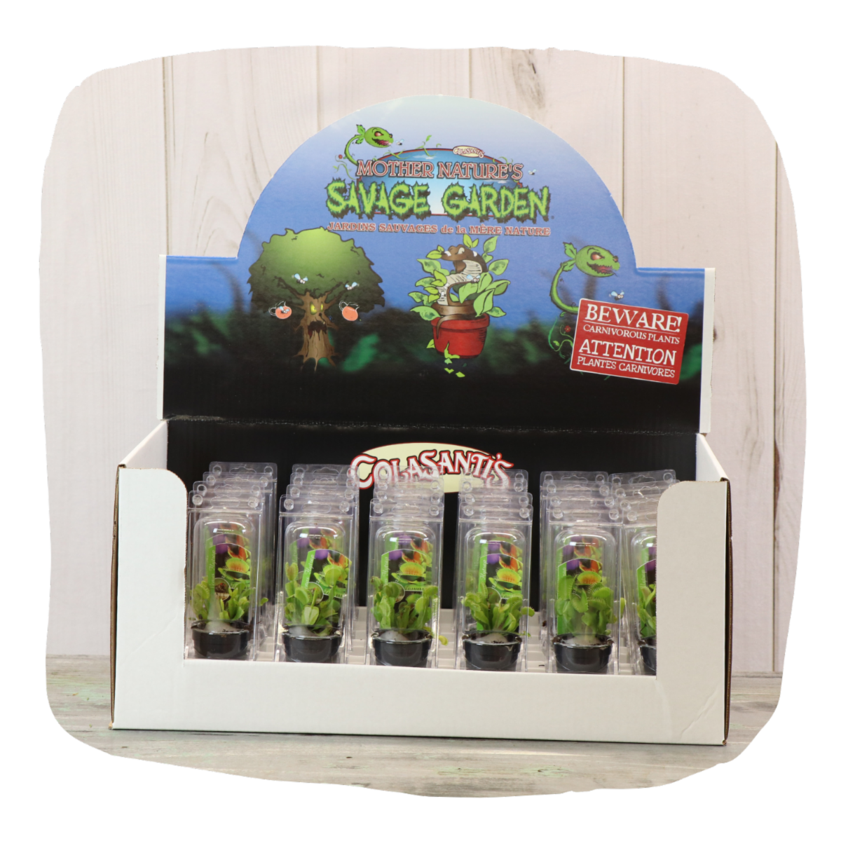 Colasanti Farms Flyer - Canadian - Your Garden's Spectacular Carnivore